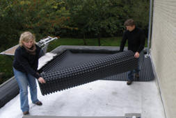 Film et Vidéo sur la pose d'un toit vert Nidasedum,... chez PIERRE et ...